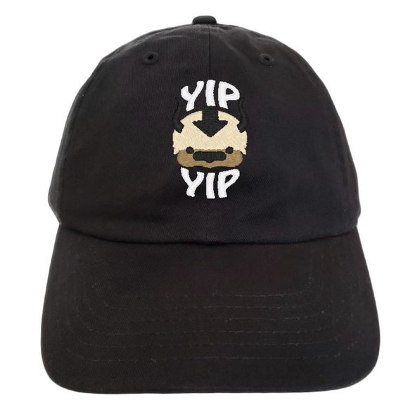 Accessories | Appa Avatar Hat | Poshmark